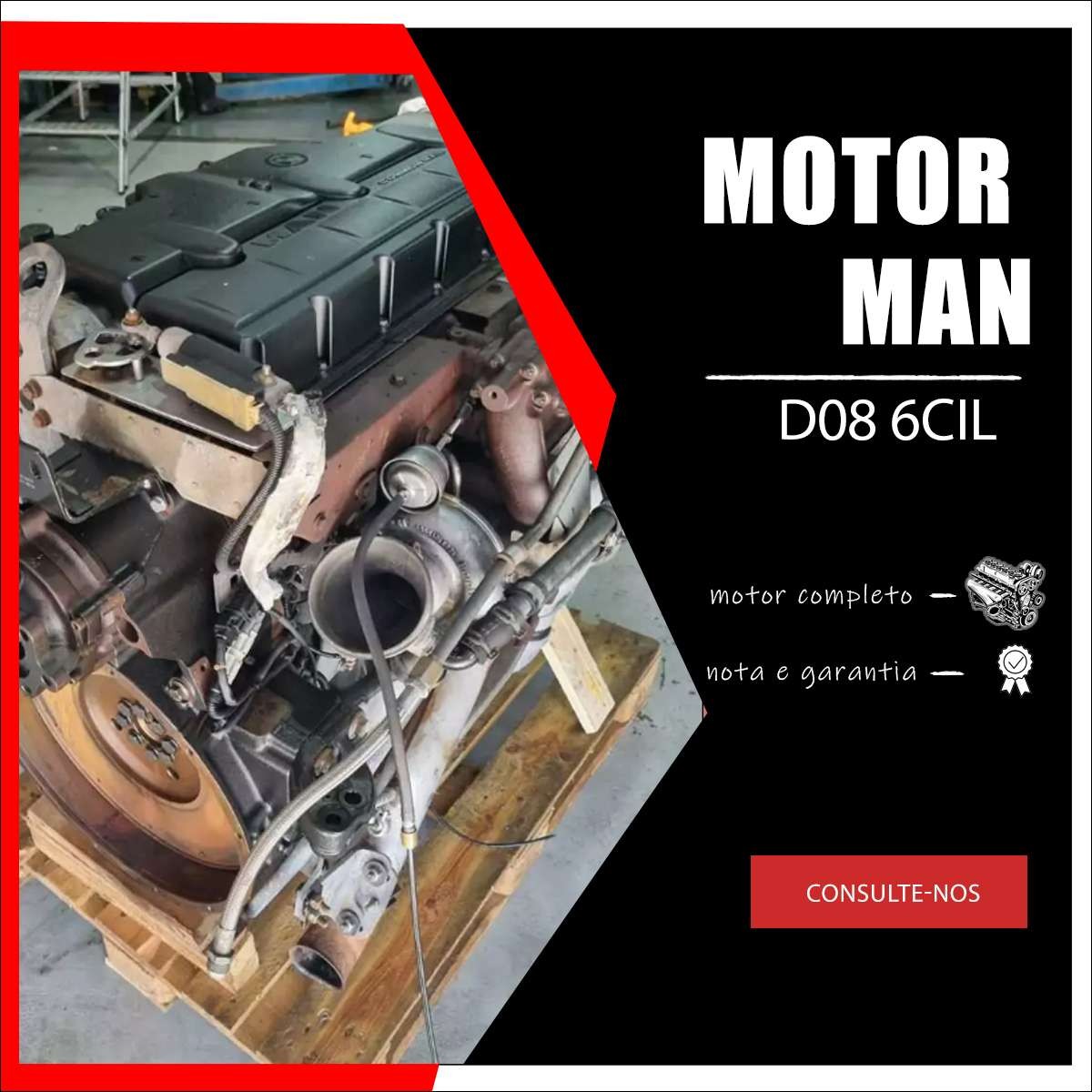 Motor MAN D08 6cil – Águia CDV
